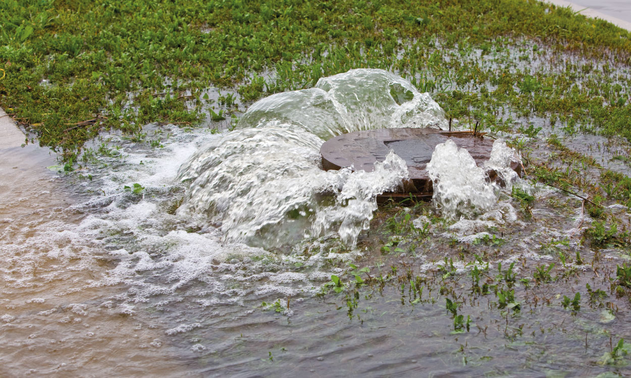 Outside Drain Overflowing? What To Do | Express Drainage Surveys