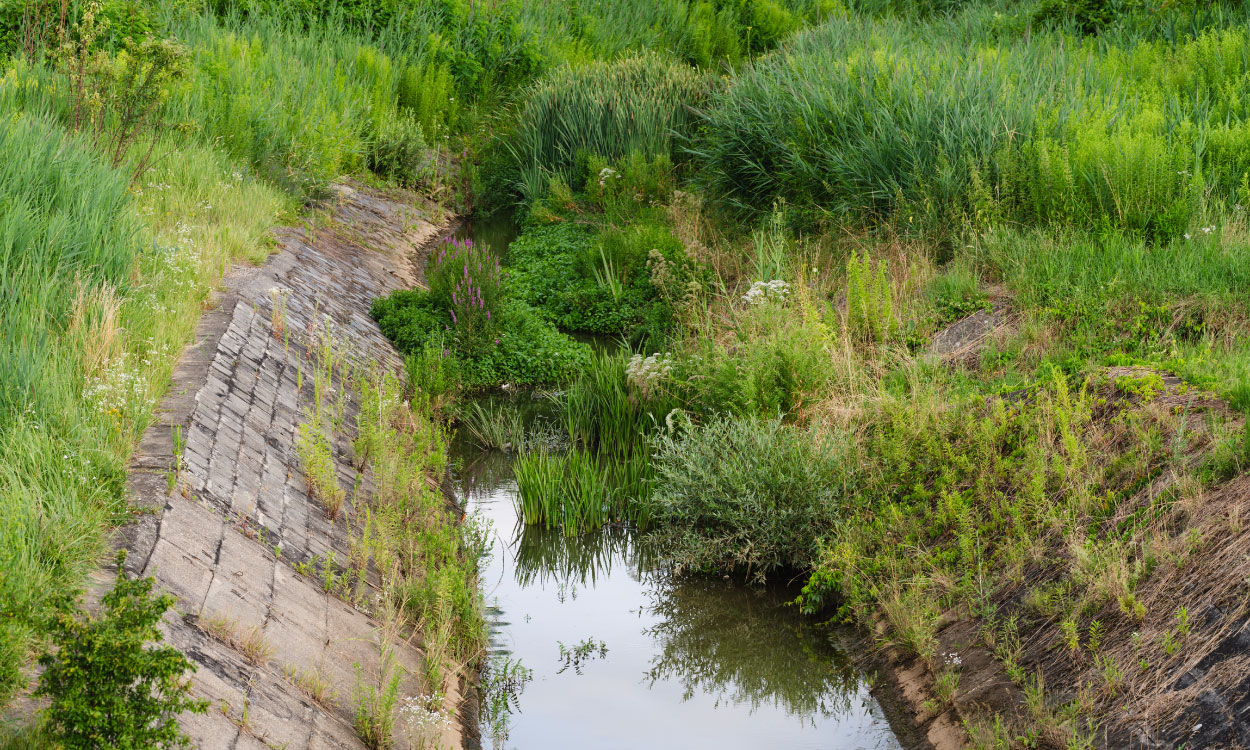 What Is A Drainage Swale? | Express Drainage Surveys